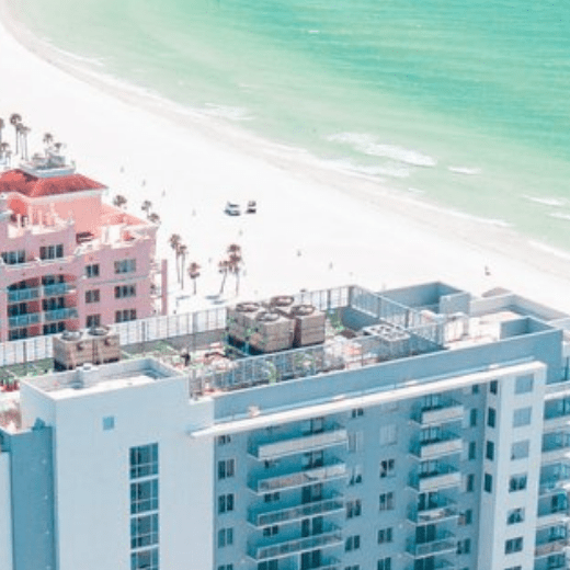 TEILS Update - Forward Pinellas